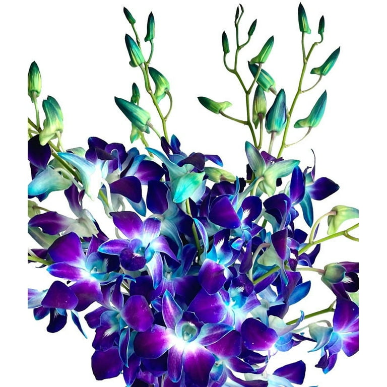 Blue Orchid Bouquet