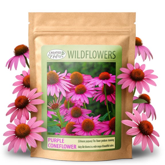 CZ Grain 1,000 Mixed Color Coneflower Seeds, Easy to Grow Perennial ...