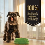 Dr. Pol Incredi-Pol Favorites Lamb & Rice Canned Dog Food, 12.5oz ...