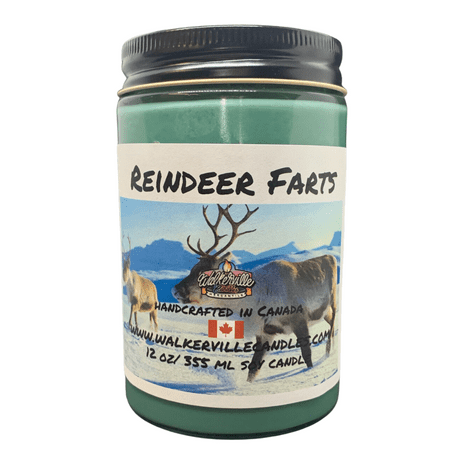 Reindeer Farts 12 oz/ 355 ml Soy Candle | Walmart Canada