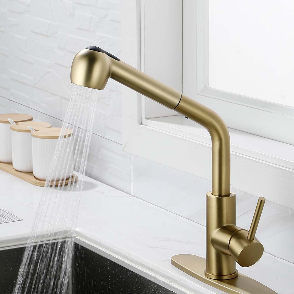 Cfowner Kitchen Faucets with Water Line, Sink Faucet with Pull Out ...