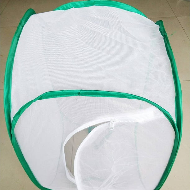 Foldable Light-transmitting Insect Butterfly Habitat Net Mesh Terrarium ...
