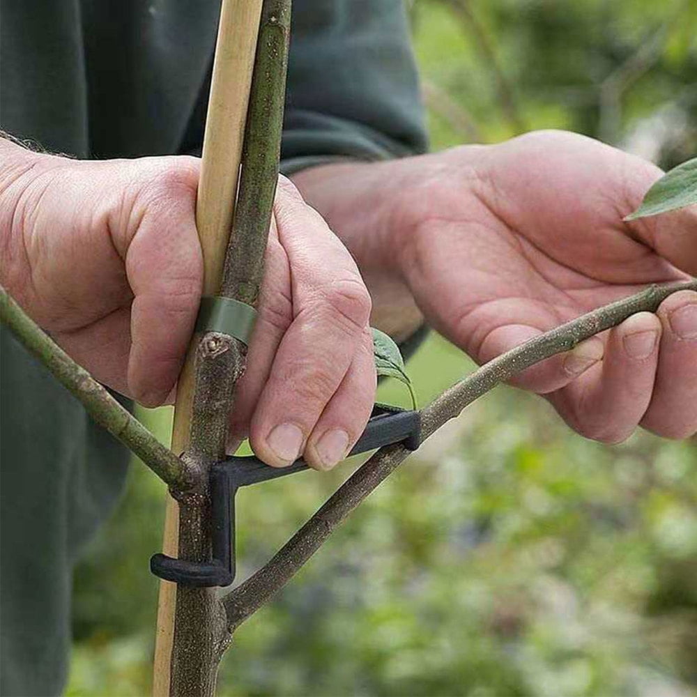 Fruit Tree Branch Limb Spreader Help Fruit Tree Grow from Central Stem ...