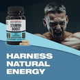 JungKwanJang Stamina Boost Capsules for Energy & Fatigue Support with ...