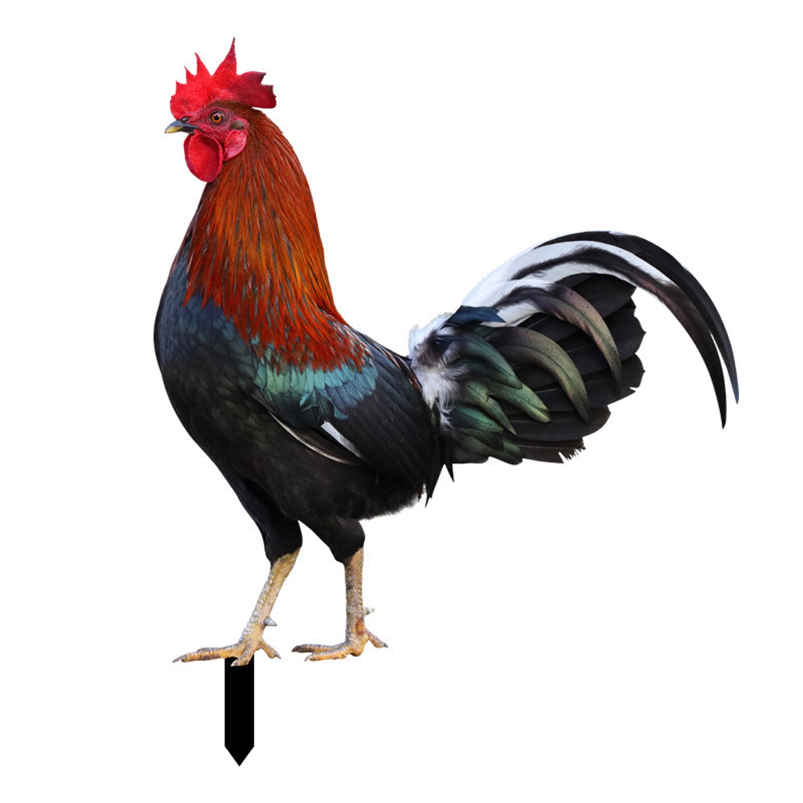 FaLX Rooster Decor Realistic Life-like Ornamental Double-sided Printing ...