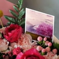 3drose, Dreaming Asia Garden with Pink Cherry Blossoms and Field, 12 ...