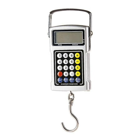 Portable Scale Handheld Scale 50kg/20g Clock & Temperature Display Calculator | Walmart Canada