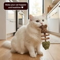Catnip & Silvervine Chew, Eco-Friendly Wooden Fish Bone Toy for Kitten ...