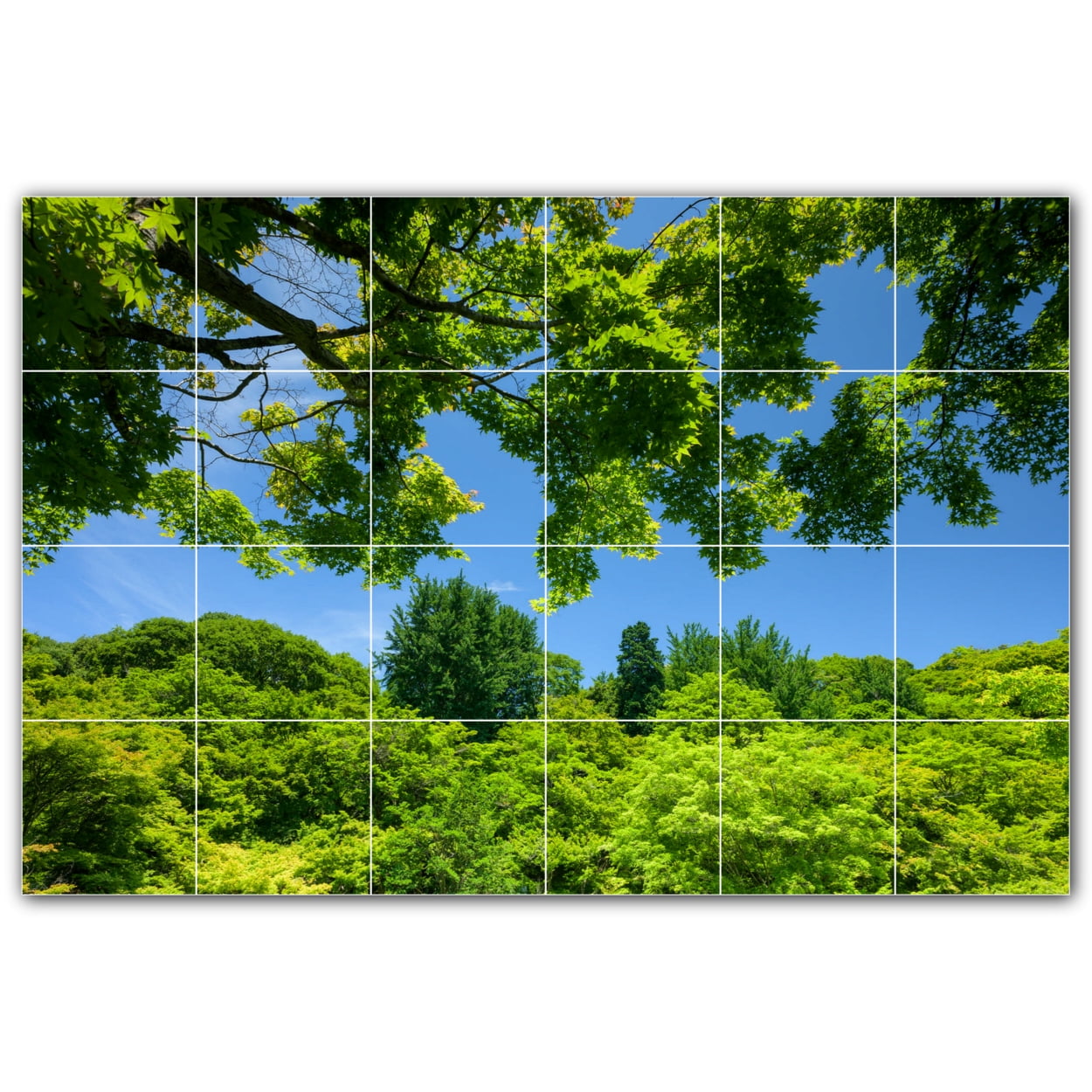 Picture-Tiles.com: Trees Ceramic Tile Wall Mural WAL501015-64L. 48"W x ...