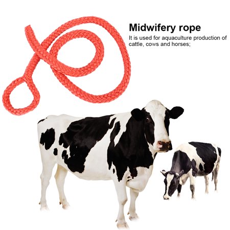 FAGINEY Helping Cows Give Birth. With High Hardness 97cm Obstetric Rope ...
