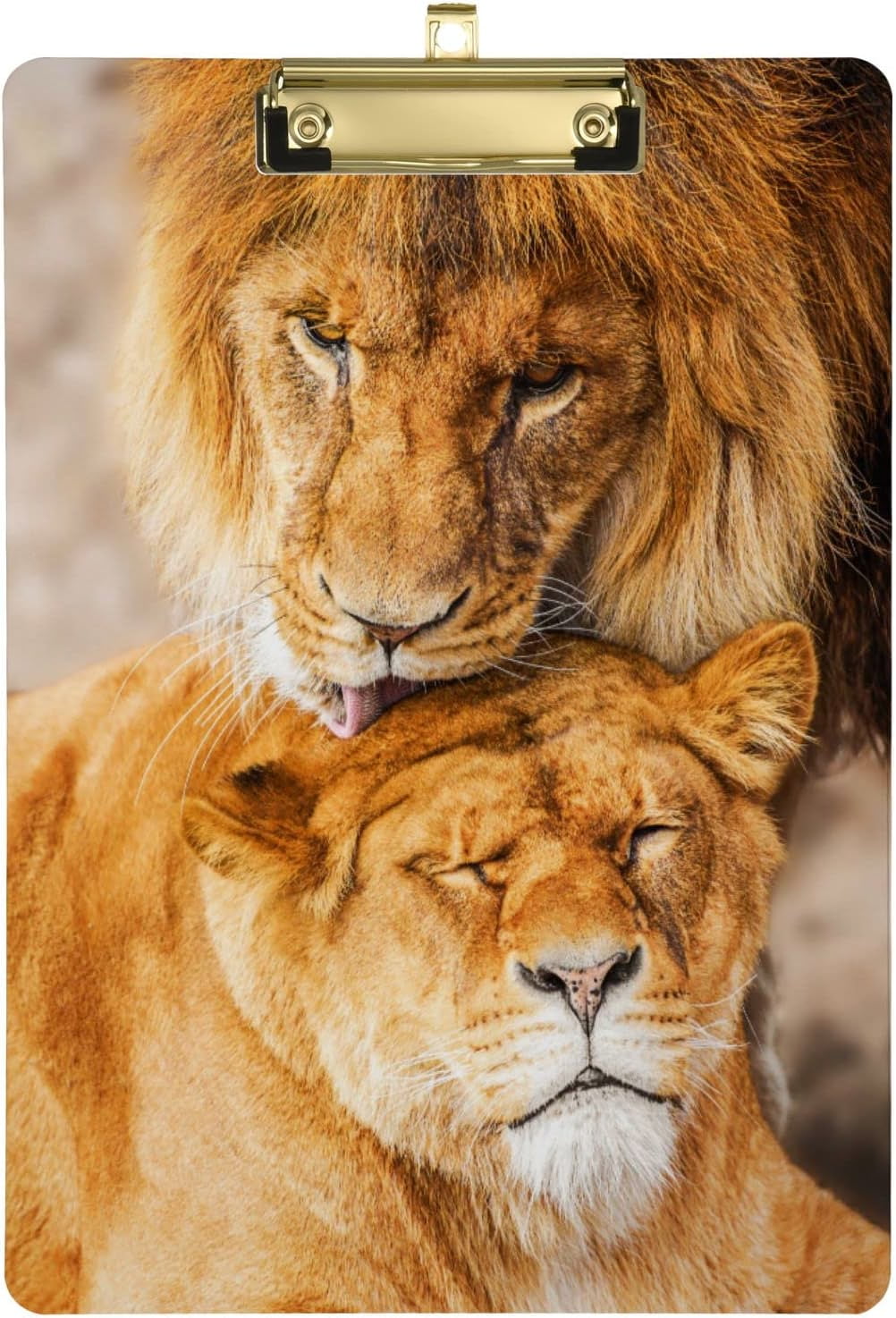 FMSHPON Lion Clipboard Hardboard Wood Nursing Clip Board and Pull for ...