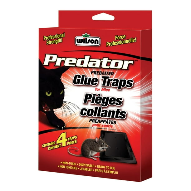 PREDATOR® MICE GLUE TRAPS - Walmart.ca