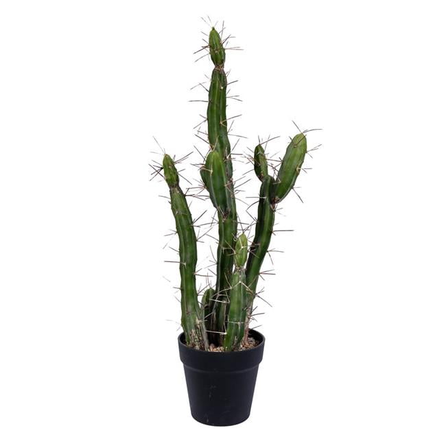 Click here for Vickerman Fe191124 24 In. Green Potted Cactus Plas... prices