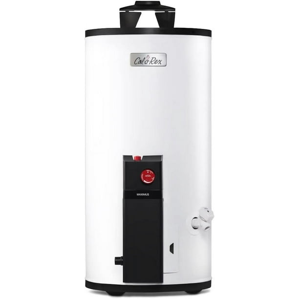 CALOREX CALENTON 10 GALONES G-10 LP MAXIMUS blanco | Walmart en línea