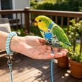 BVCL Bird Harness With Leash For Small To Large Birds Adjustable ...