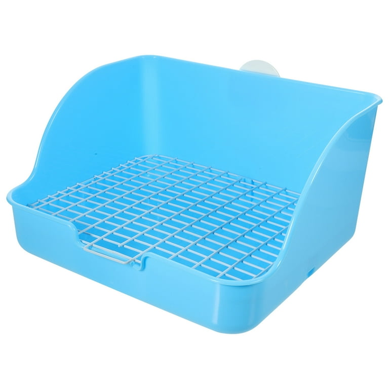 How To Litter Train Your Rat | brainvoyage.com