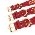 Pet Artist Soft Leather Pet Dog Collar Gold Rivet Studded Adjustable ...