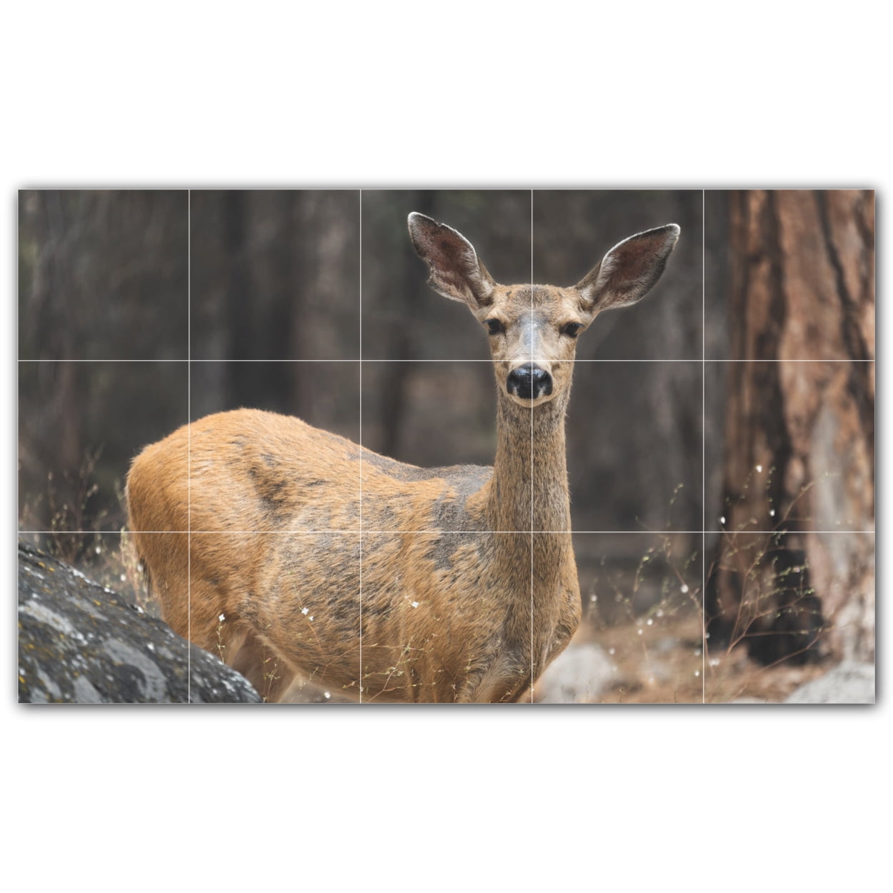 Picture-Tiles.com: Deer Ceramic Tile Wall Mural WAL500473-53M. 30"W x ...