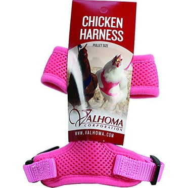 My Pet Chicken Nylon Walking Chicken Harness, Pink, S (13" to 17" Chest ...