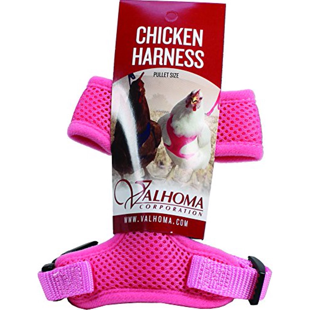 Mesh Chicken Harness (Pack of 1) - Walmart.com - Walmart.com