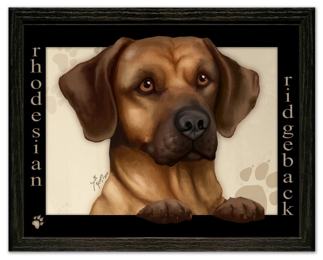 Rhodesian Ridgeback Dog by Scott Rogers “Paws on the Picture Frame ...