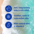 Solarcaine Cool Aloe Sunburn Relief Spray with Lidocaine to Replenish ...