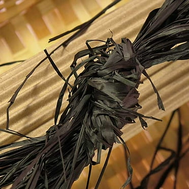 2 1/2" X 10 Yards Spring Daisy Wired Ribbon by Paper Mart - Walmart.com