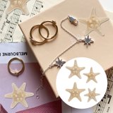 Shell Sea Star Natural Decor Stars Crafts Decoration Conch Nautical ...