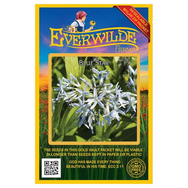 Everwilde Farms - 60 Blue Star Native Wildflower Seeds - Gold Vault ...