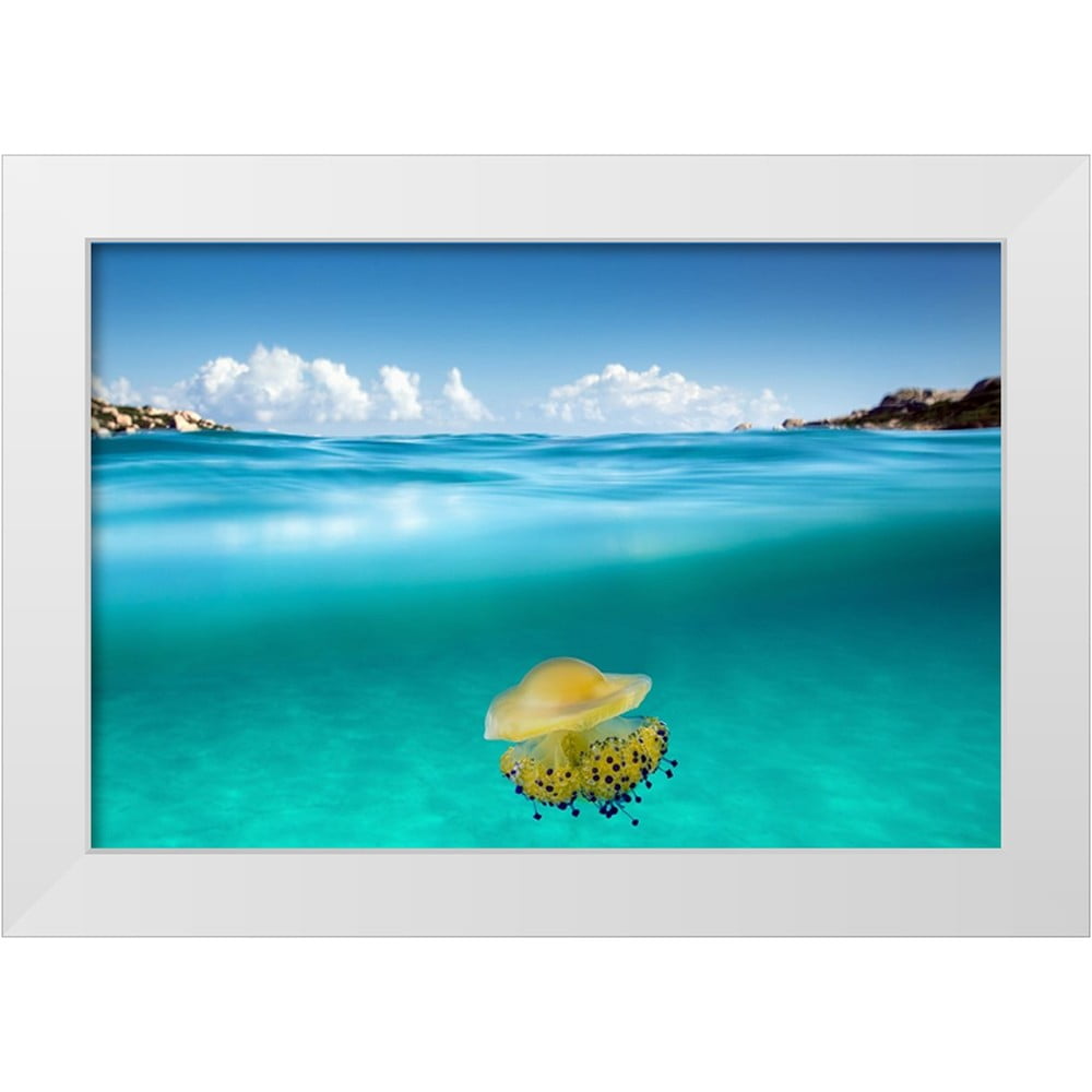 Sysa Moiola, Roberto 24x17 White Modern Wood Framed Museum Art Print ...