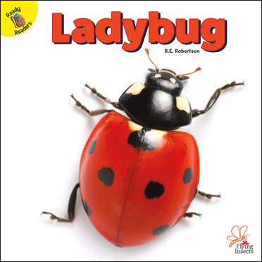The Weird and Wonderful World of Bugs : A Book About Beetles ...