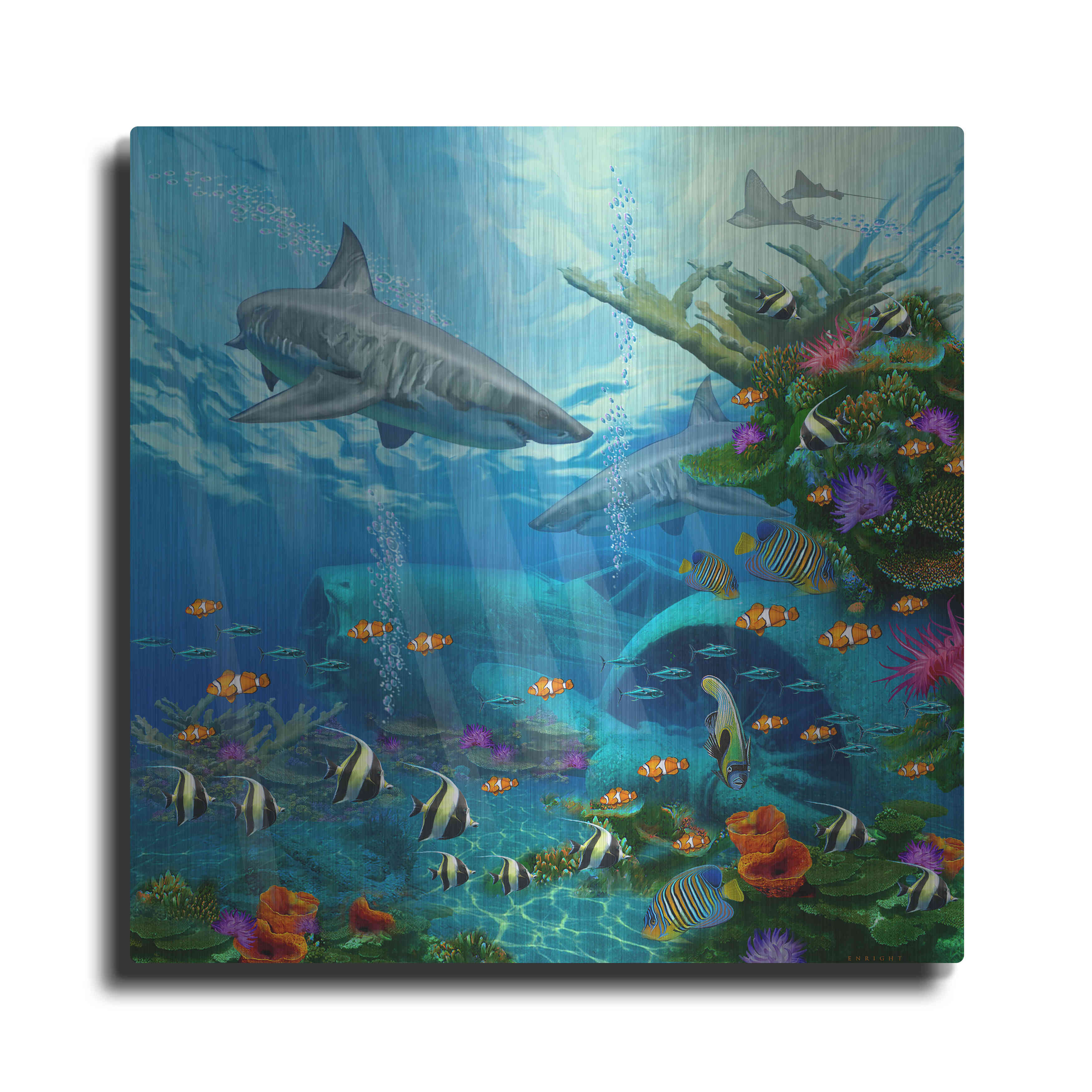 Luxe Metal Art 'Shark Reef Square' by Enright, Metal Wall Art, 12"x12 ...