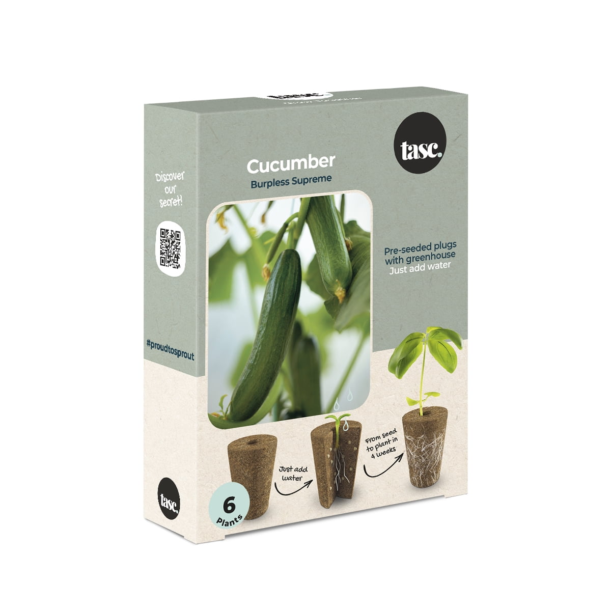 TASC Pre-Seeded Cucumber Plugs with Greenhouse (Count, 6 Seed Plugs ...