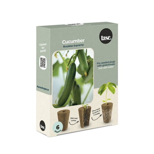 TASC Pre-Seeded Cucumber Plugs with Greenhouse (Count, 6 Seed Plugs ...
