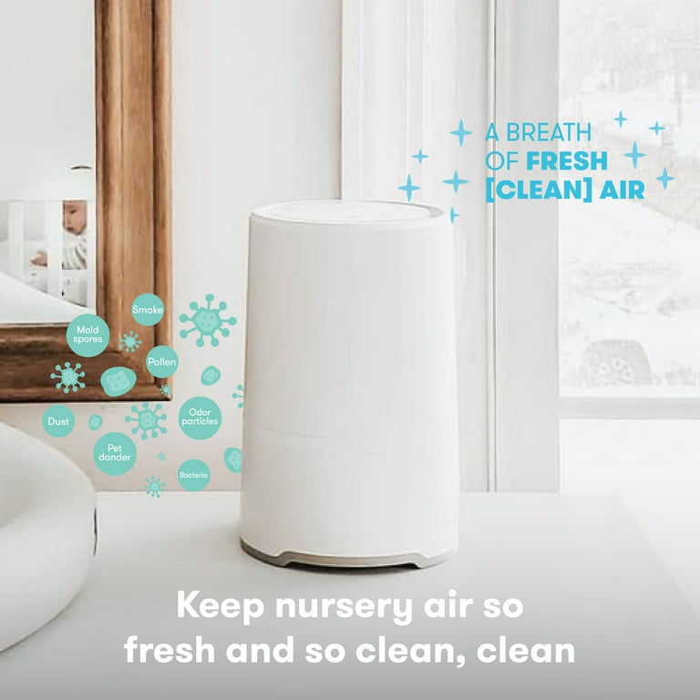 Baby's breath air purifier store