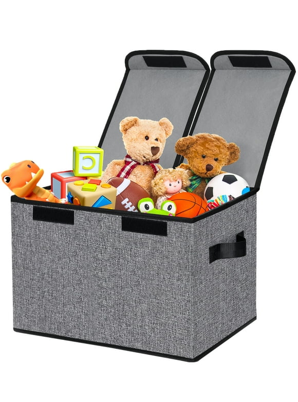 Toy Boxes & Chests in Kids & Teen Storage - Walmart.com