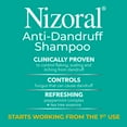 Nizoral Anti-Dandruff Shampoo, 14 Fl Oz, Peppermint & Tea Tree ...