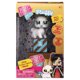 Boxy Girls Pets, Bunny - Walmart.com