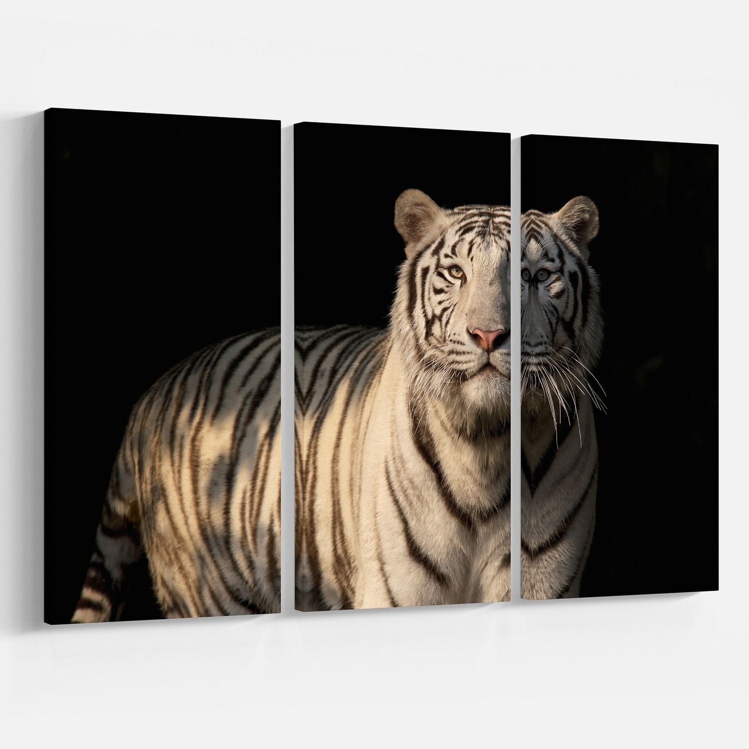 Click here for Designart Design Art White Bengal Tiger On Black C... prices