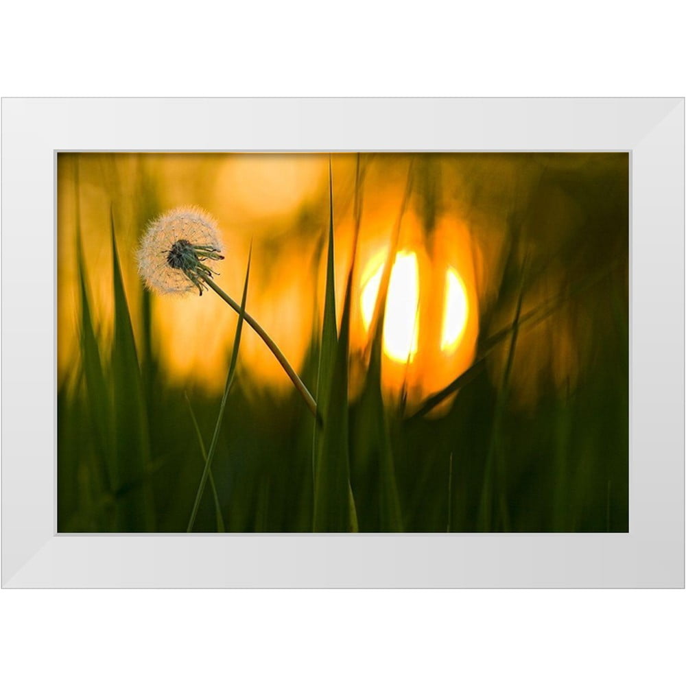 Siegers, Ricky 18x13 White Modern Wood Framed Museum Art Print Titled ...