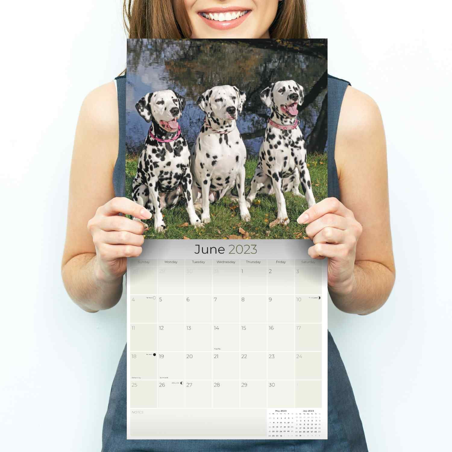 Dalmatian 2022 Dog Breed Premium Wall Calendar
