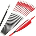 AMEYXGS New Carbon Fiber Archery Arrows - Walmart.com