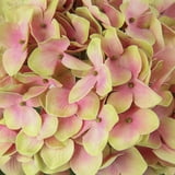3 Pcs Faux Hydrangeas Silk Flowers Stems, Real Touch, 24.8 Inch, Yellow ...