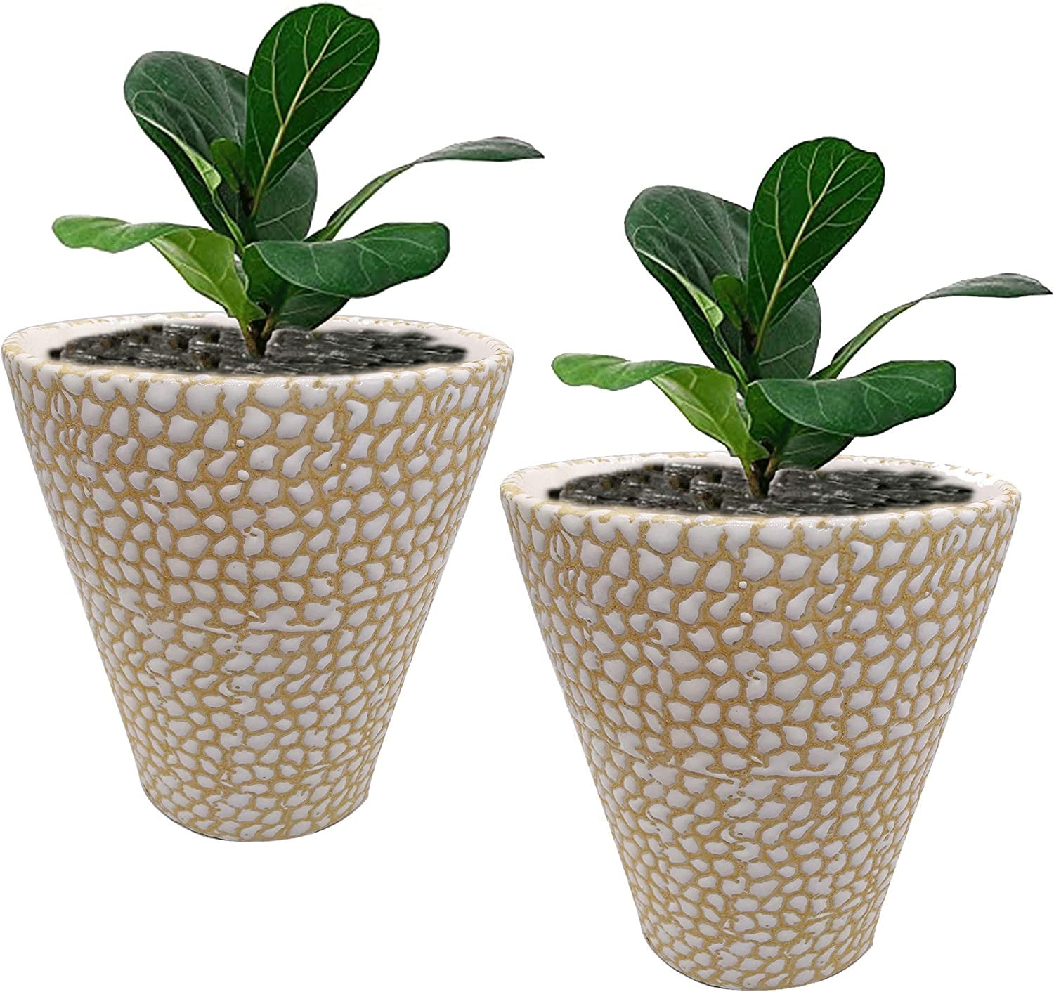 India Meets India Ceramic Flower Pot Designer Planter Vase Indoor ...