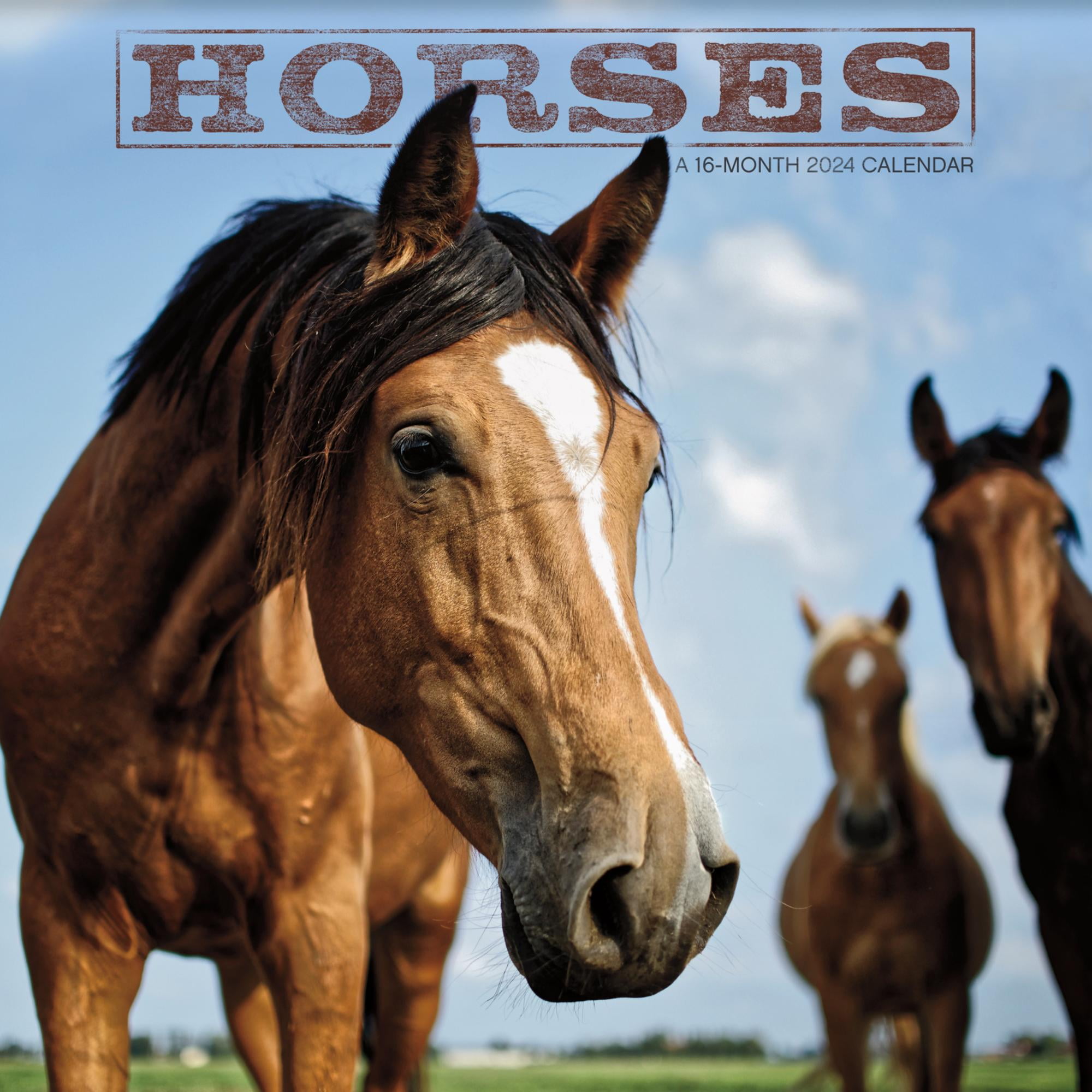 Trends International 2024 Horses Mini Wall Calendar - Walmart.com