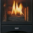 Procom Natural Ventless Gas Fireplace Insert, Dual Fuel, 15,000 BTU, T ...