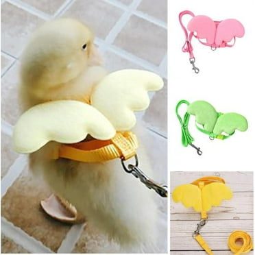 Visland Duck Harness Leash, Fashion Cute Candy Color Wing Design ...
