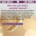 Great River Milling Organic Hulled Spelt Berries Ancient Whole Spelt ...