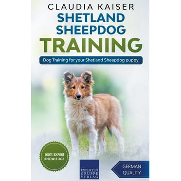Poodle Training - Dog Training for your Poodle puppy (Paperback ...