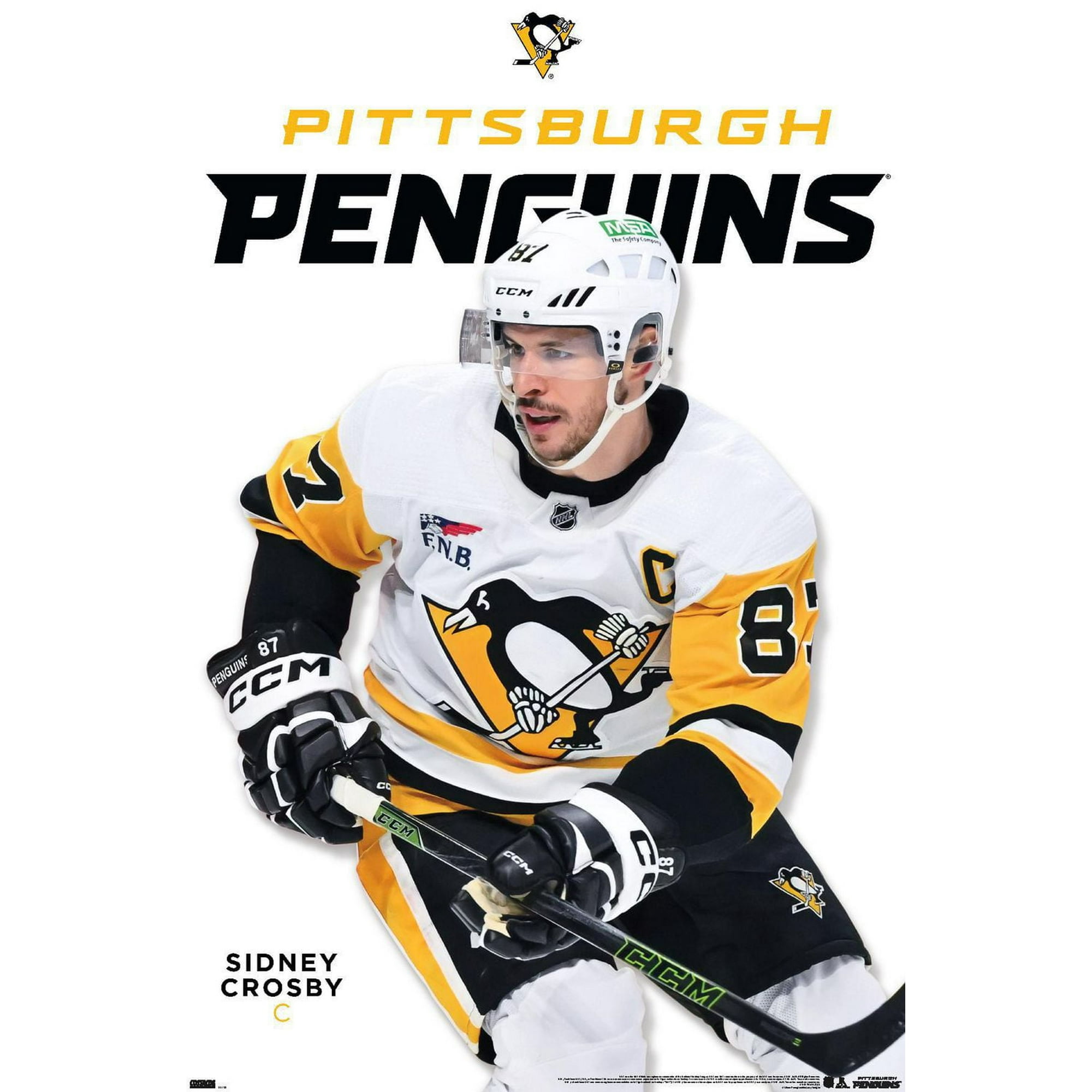 Click here for Trends International Nhl Pittsburgh Penguins - Sid... prices